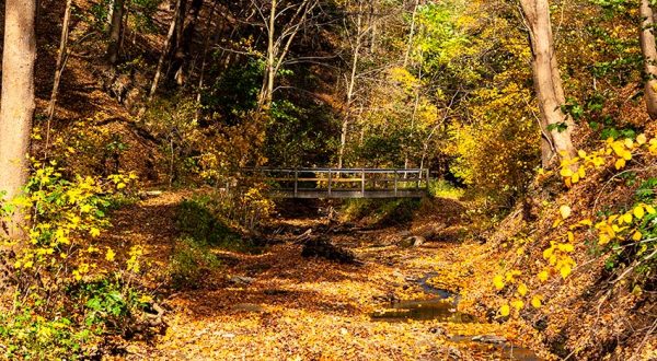 Fall Run Park: The Best Waterfall Near Pittsburgh - Scenic States