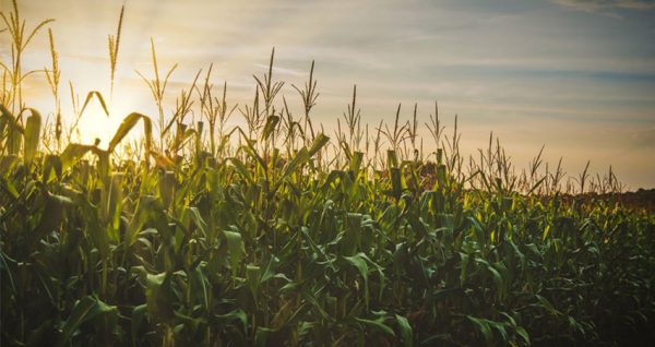 10 Best Things to Do in Iowa - Scenic States