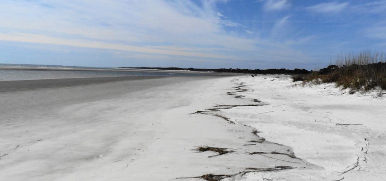 13 Georgia Beaches That Can't Be Missed - Scenic States