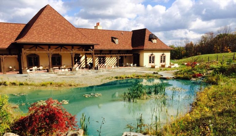 The 5 Seneca Lake Wineries You Can't Miss - Scenic States