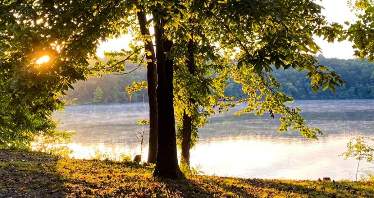 10 Illinois Lakes You Have to Visit - Scenic States