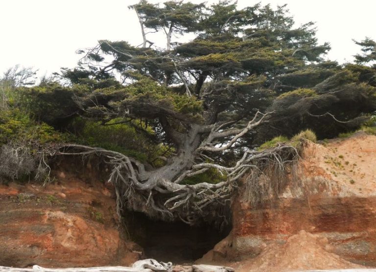 10 Crazy Caves in Washington State to Explore - Scenic States