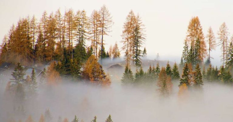 10 Spooky Ghost Towns of PA - Scenic States