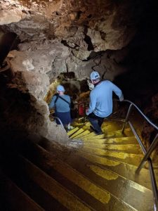 Jewel Cave vs Wind Cave: A Complete Guide - Scenic States