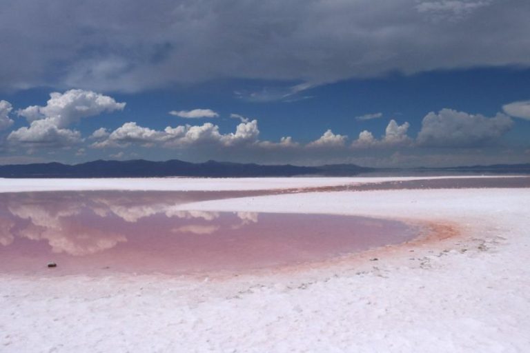 9 Great Salt Lake Beaches Worth Visiting - Scenic States