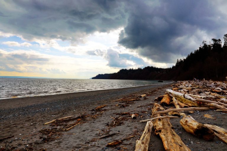 10 Best Sea Glass Beaches in Washington - Scenic States