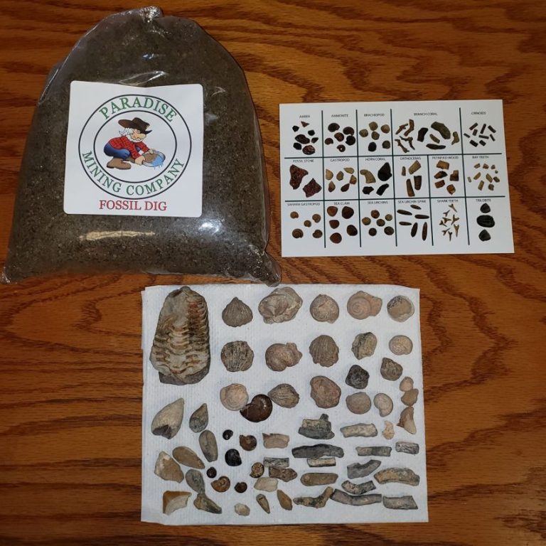 8 Killer Gem Mining Spots in Ohio for Enthusiasts - Scenic States