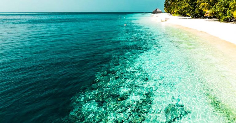 9 Must-Visit Clear Water Beaches in Florida - Scenic States