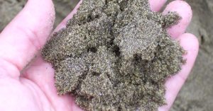 How to Visit the Hidden Green Sand Beach Hawaii - Scenic States