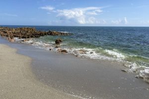 7 Jupiter FL Beaches for a Stress-Free Beach Day - Scenic States