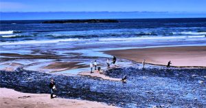 7 Sea Glass Beaches in Oregon to Scour - Scenic States